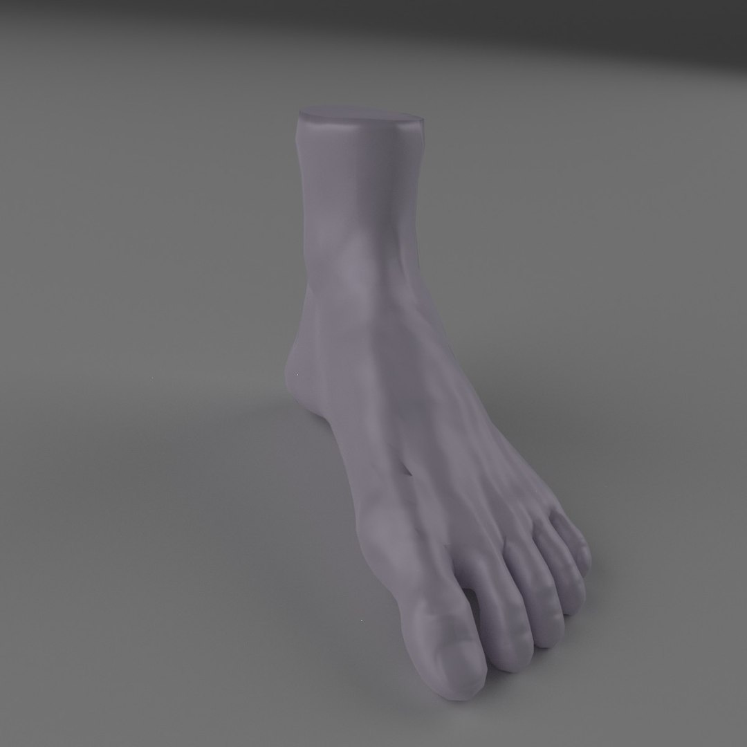 Simple Foot 3D Model - TurboSquid 1278527