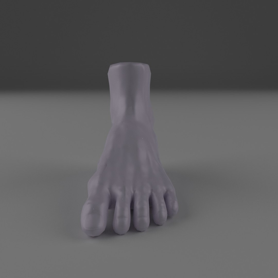 Simple Foot 3D Model - TurboSquid 1278527