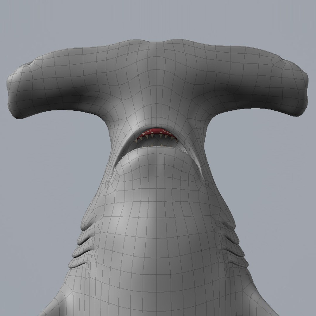 Hammerhead Shark 3d Dxf