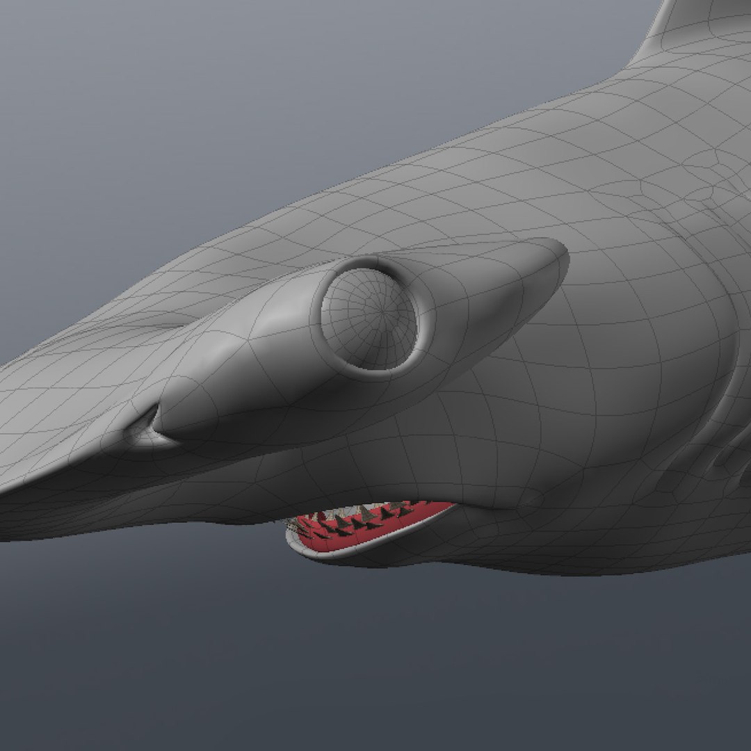 Hammerhead Shark 3d Dxf
