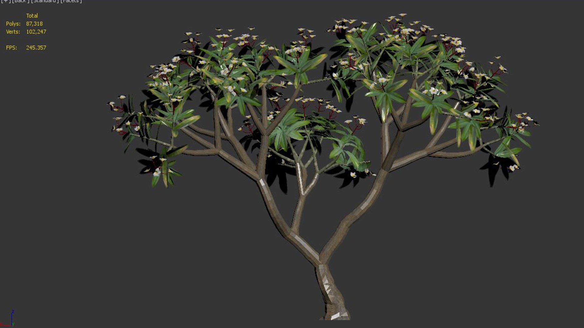 Plumeria Rubra -Frangipani Tree-01 3D Model - TurboSquid 1948675