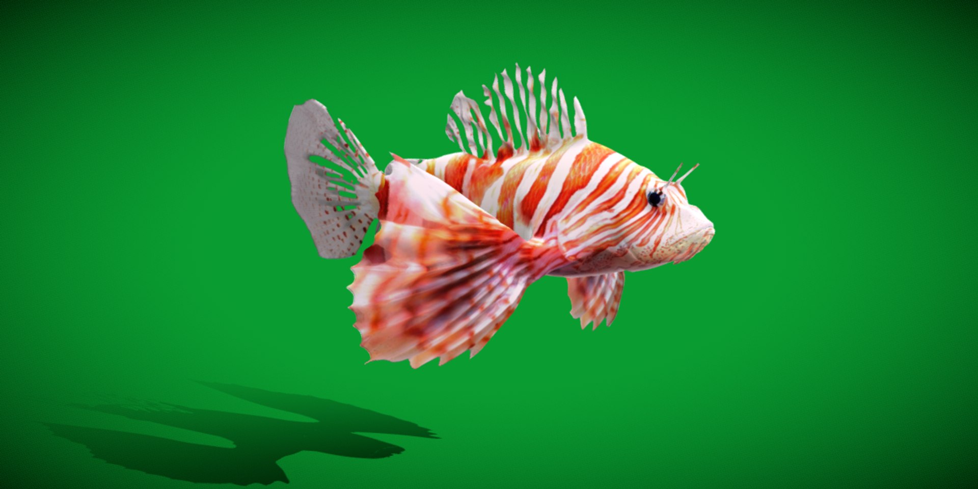 Lionfish 3D Model - TurboSquid 2379986