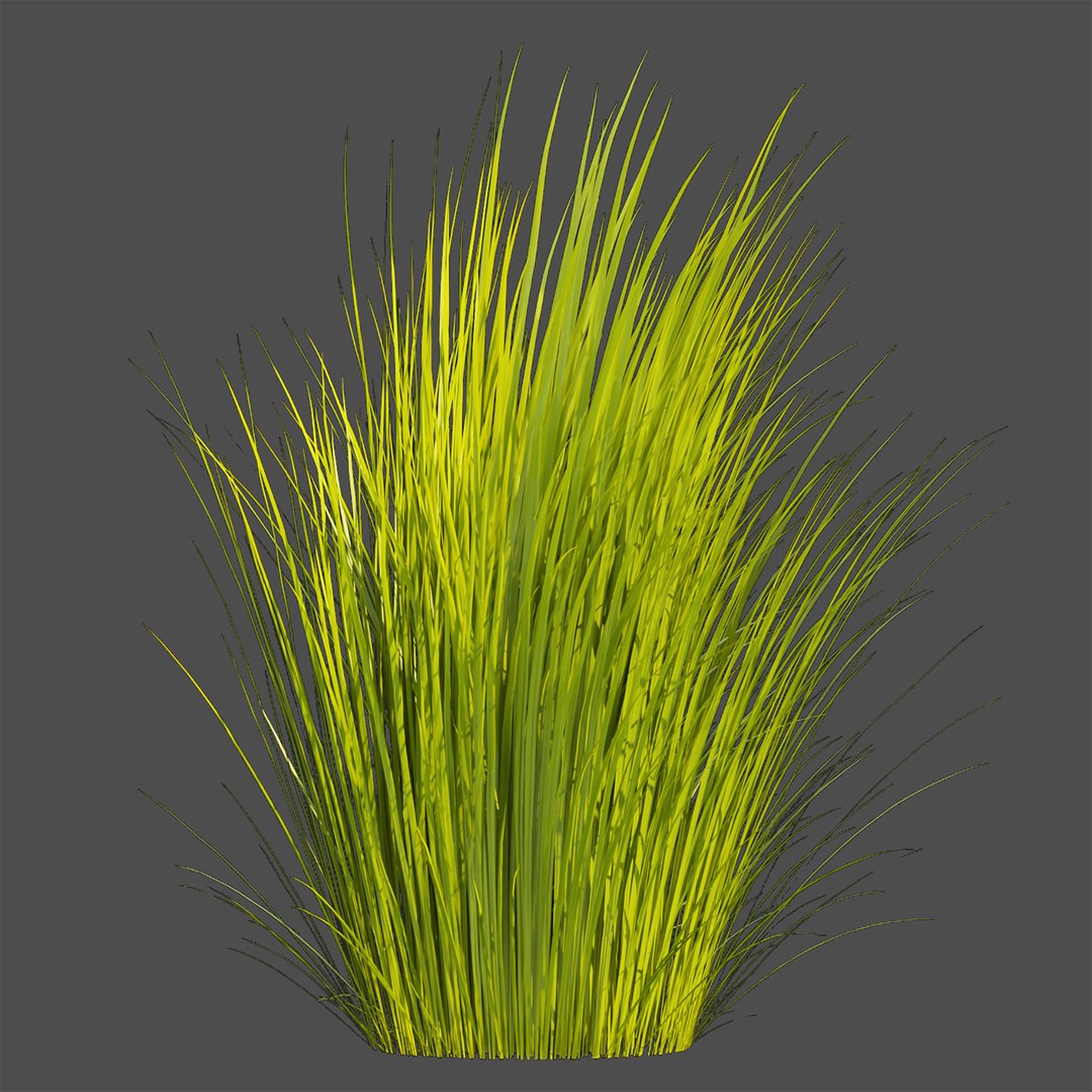 3D Model Collection Plant Vol 383 - Grass - Outdoor Switchgrass ...