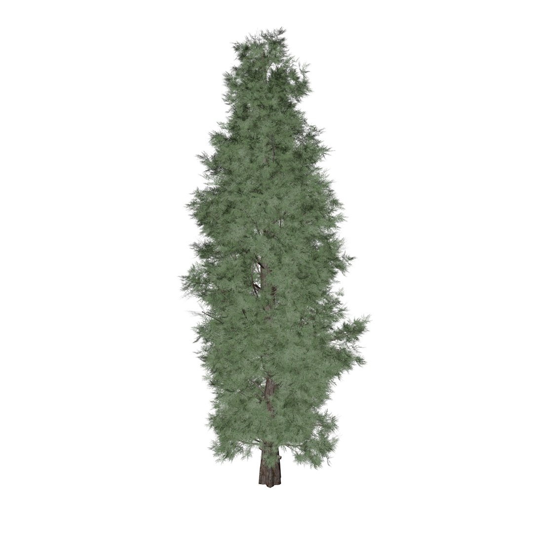 3D Model Eastern Red Cedar Tree - 03 - - TurboSquid 2373441