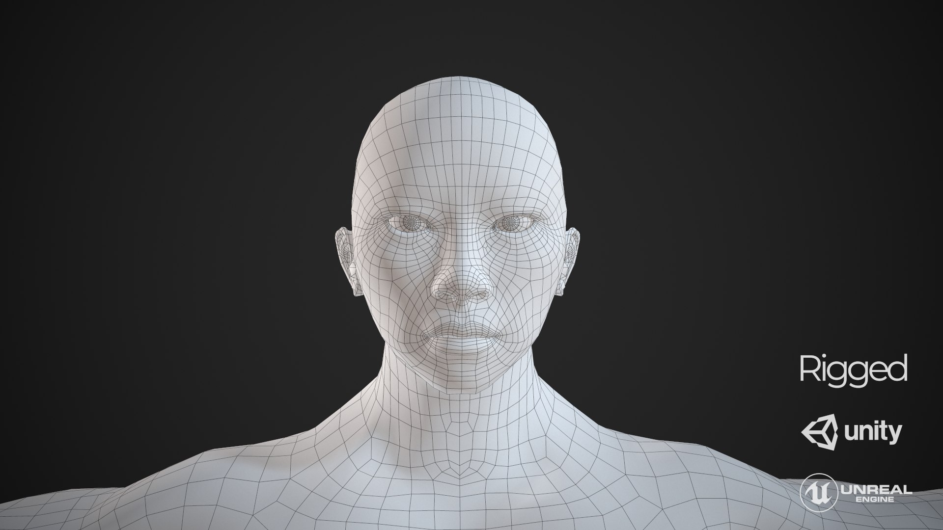 Base Mesh Basemesh 3D Model - TurboSquid 1680923