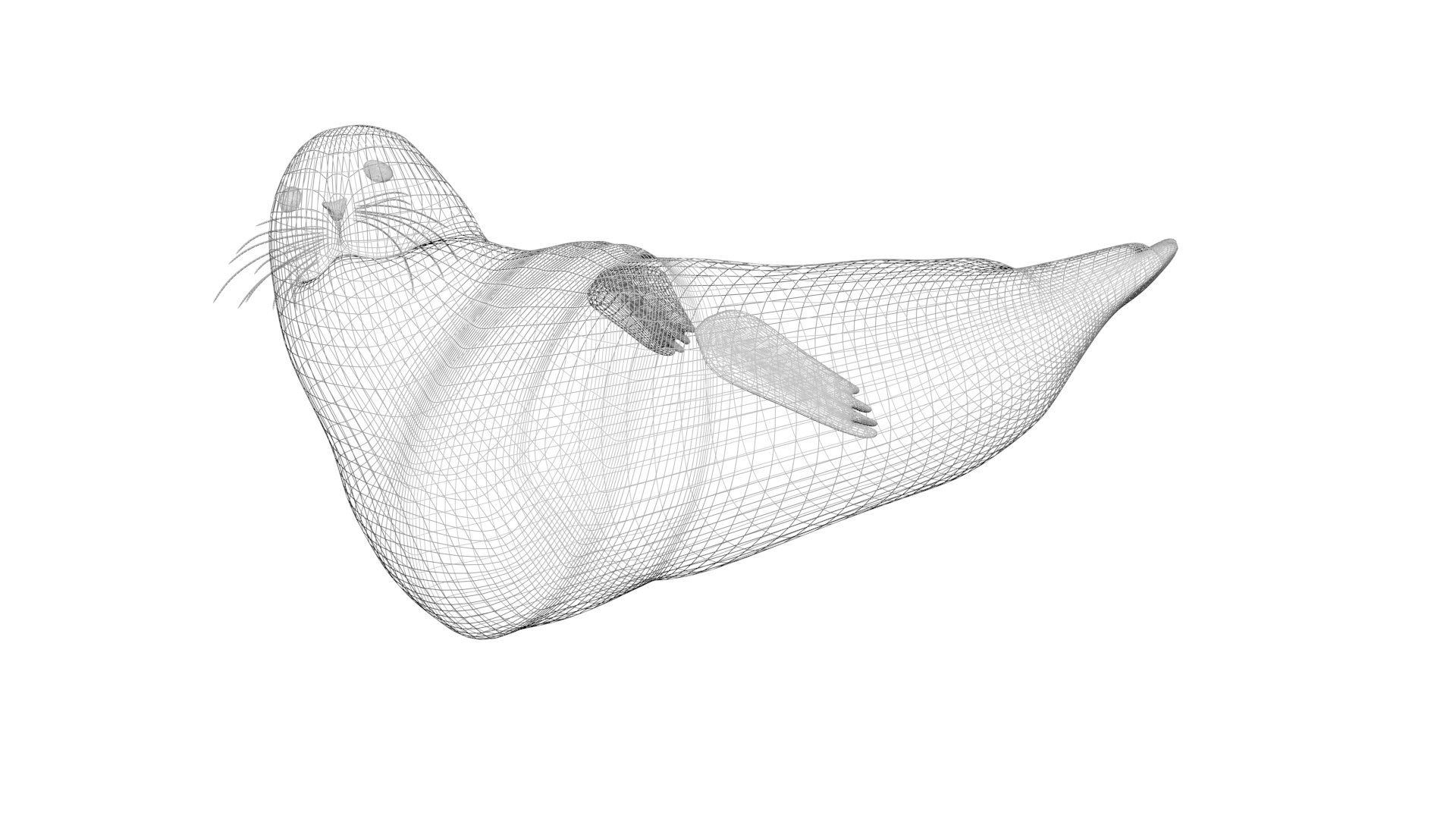 Seal 3D Model - TurboSquid 1873789