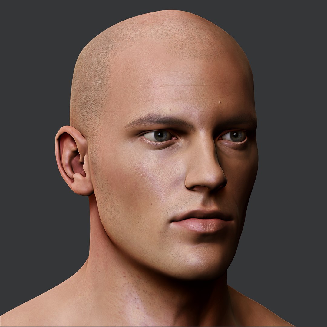 3d Realistic Male Head Model