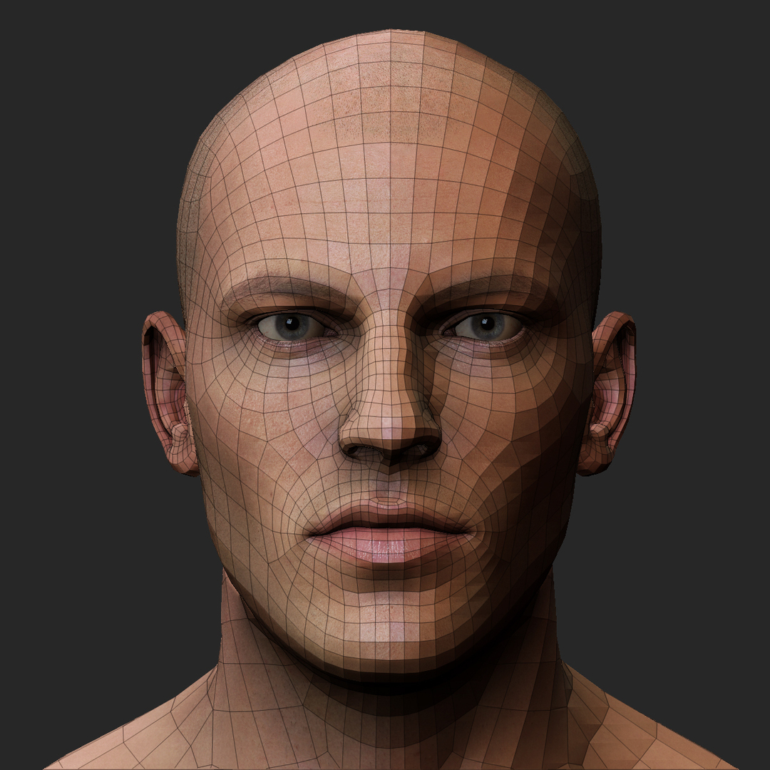 3d realistic male head model