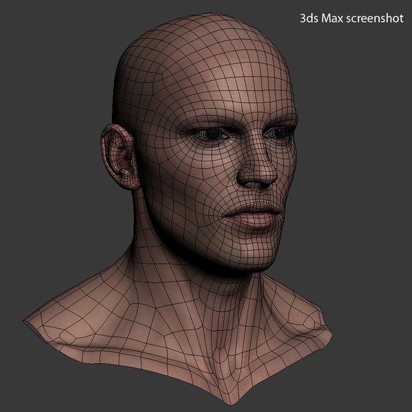 3d realistic male head model