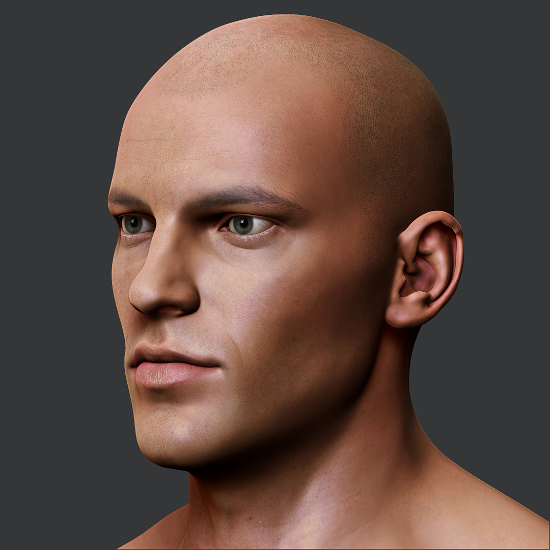 3d realistic male head model
