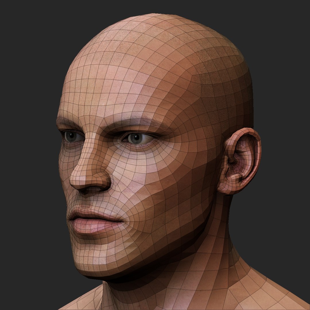3d Realistic Male Head Model