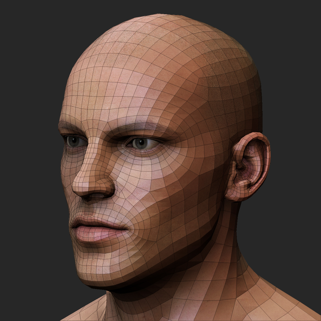 3d realistic male head model
