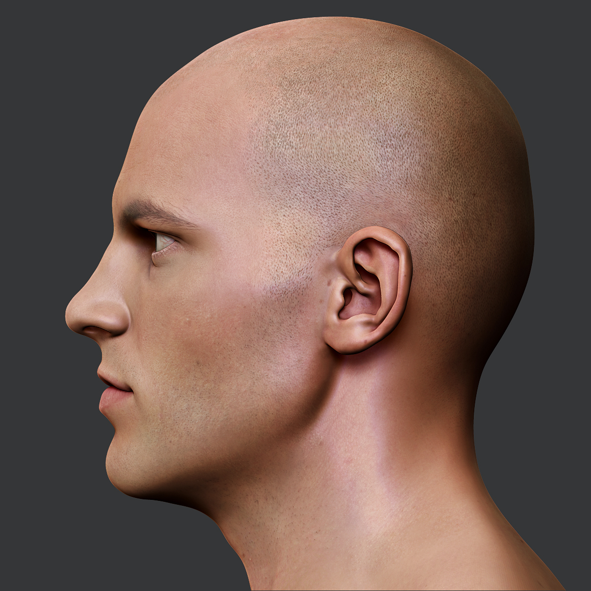 3d realistic male head model