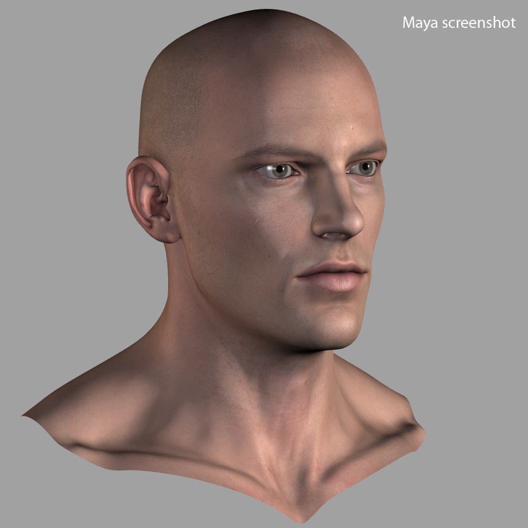3d Realistic Male Head Model