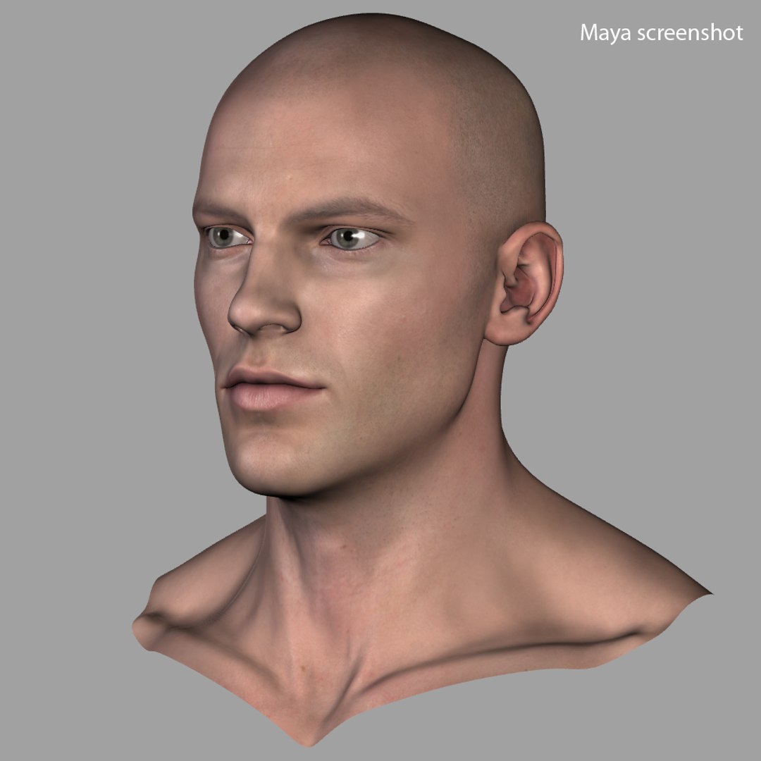 3d Realistic Male Head Model
