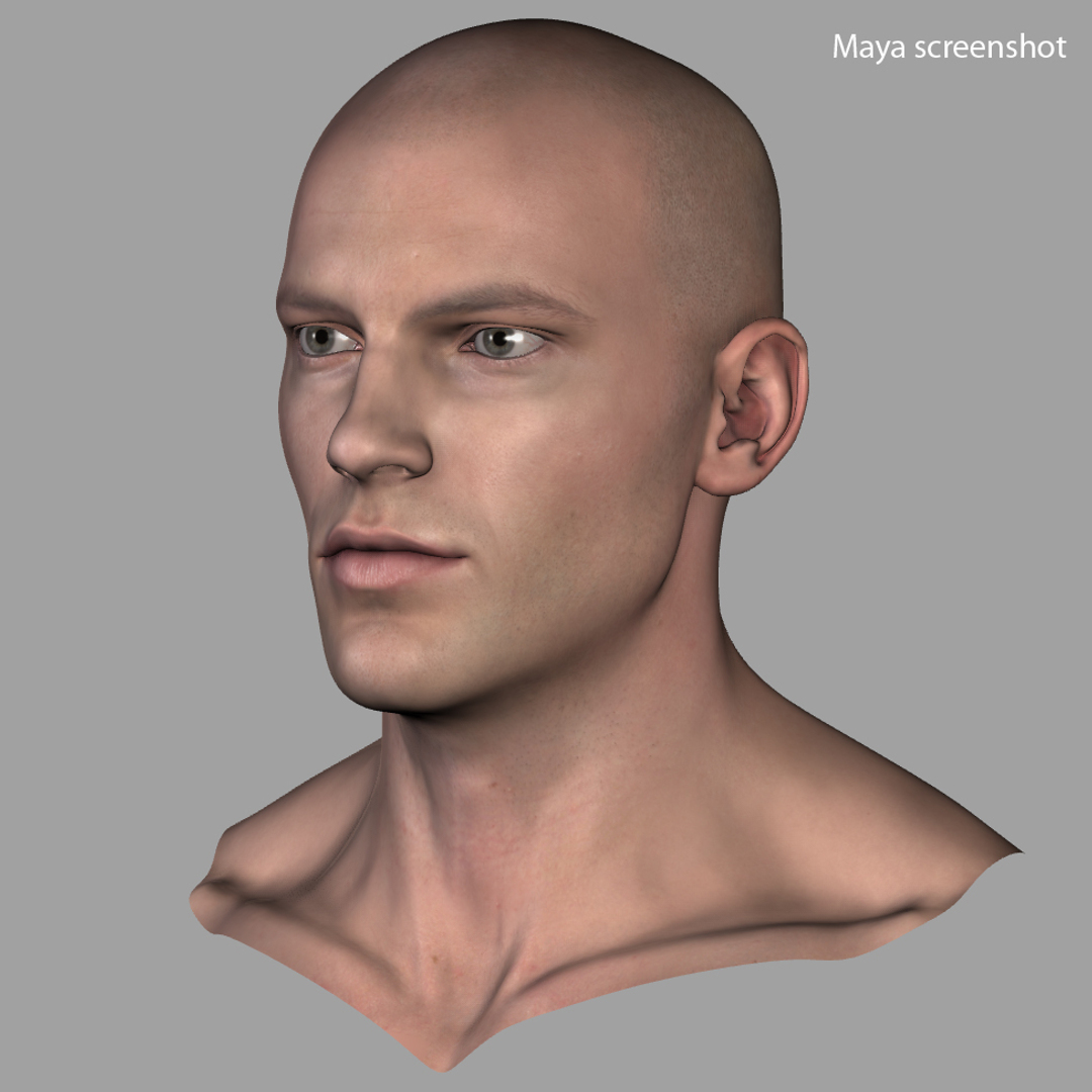 3d realistic male head model