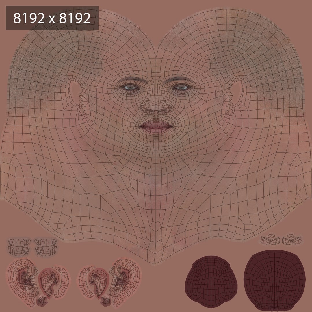 3d Realistic Male Head Model