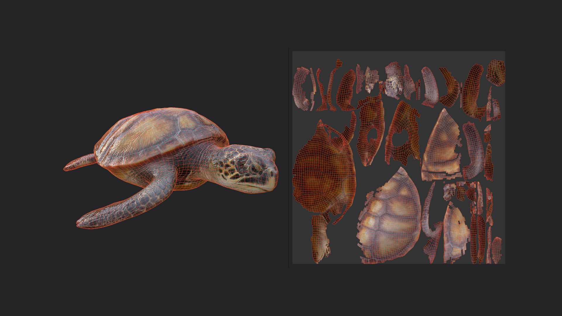 3D SMSeaTurtlea002 - TurboSquid 2355166