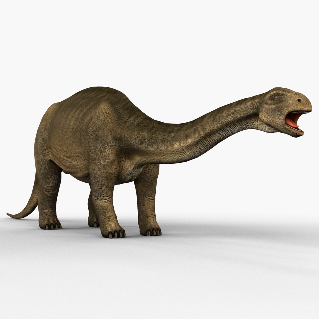 Brontosaurus Prehistoric Dinosaur 3d Model