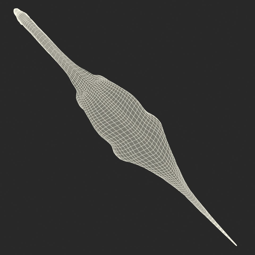 brontosaurus prehistoric dinosaur 3d model