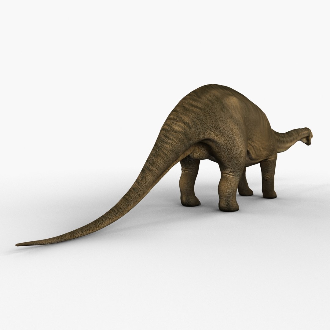 Brontosaurus Prehistoric Dinosaur 3d Model