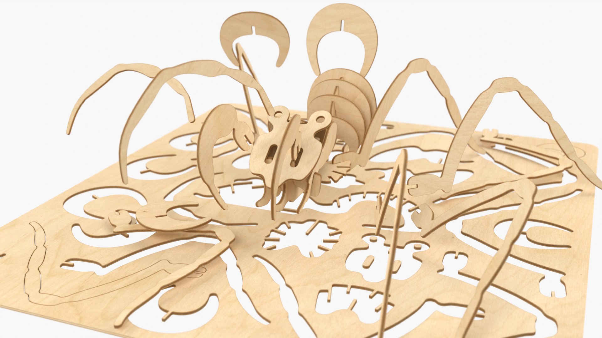 3D Spider Laser Cut Animated Model - TurboSquid 2005372