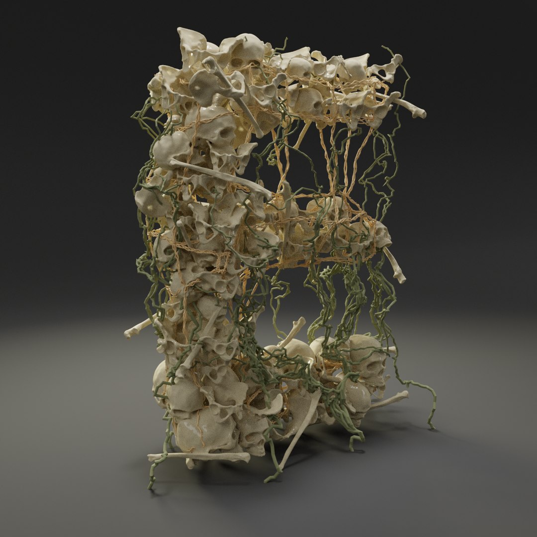 3D E Bones - TurboSquid 1546058