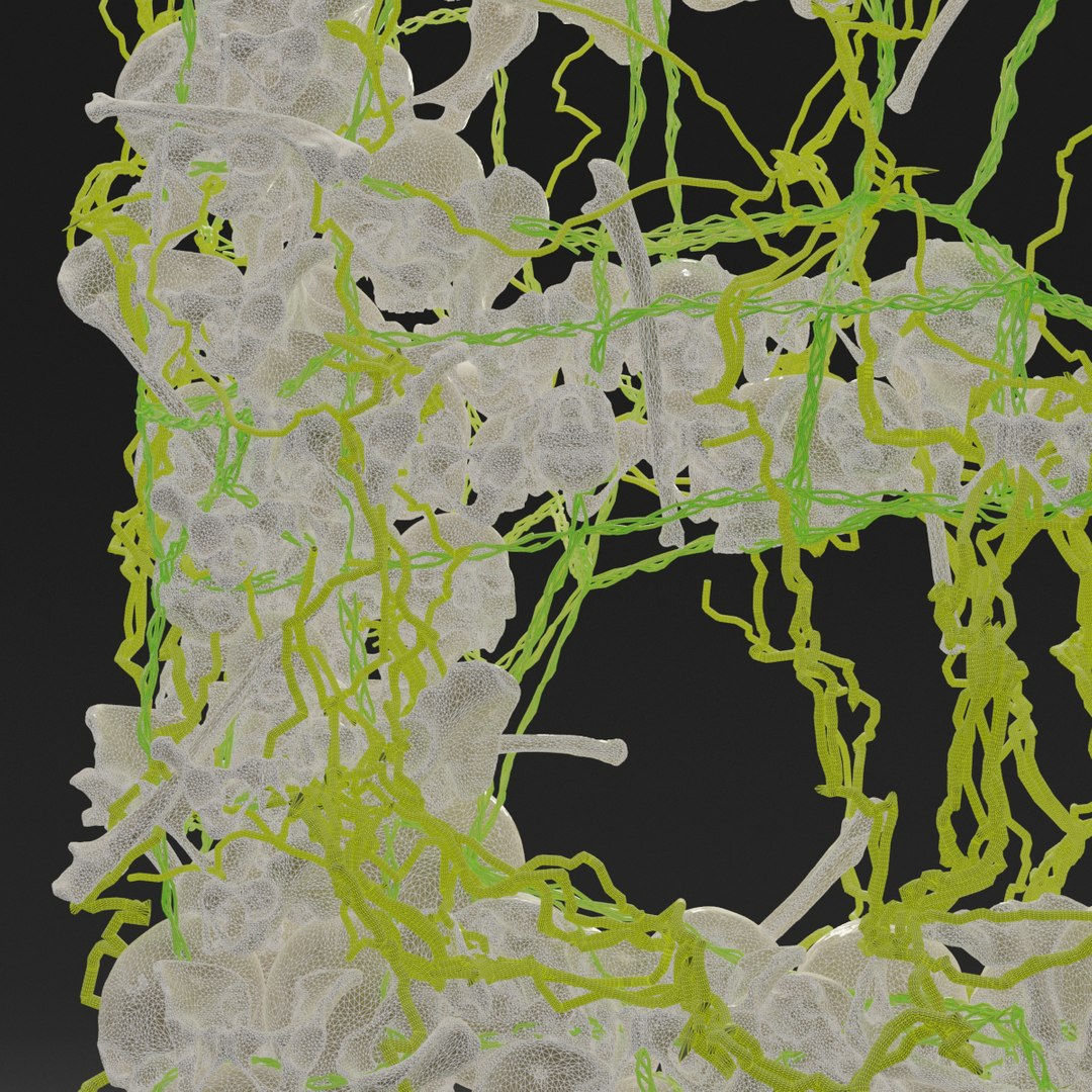 3D E Bones - TurboSquid 1546058