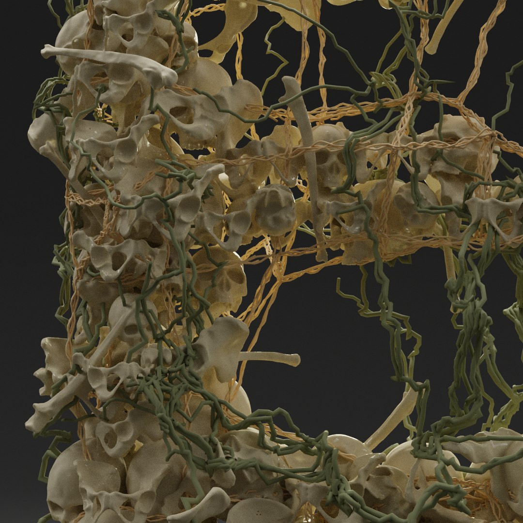 3D E Bones - TurboSquid 1546058