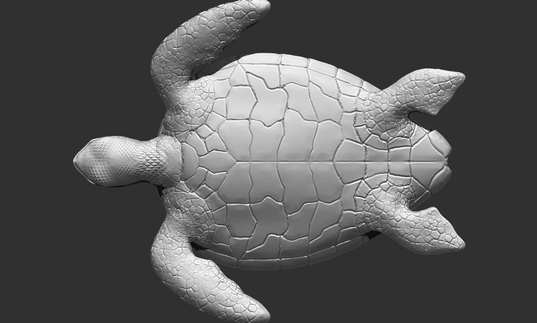 Turtle Sea 3D Model - TurboSquid 1352300