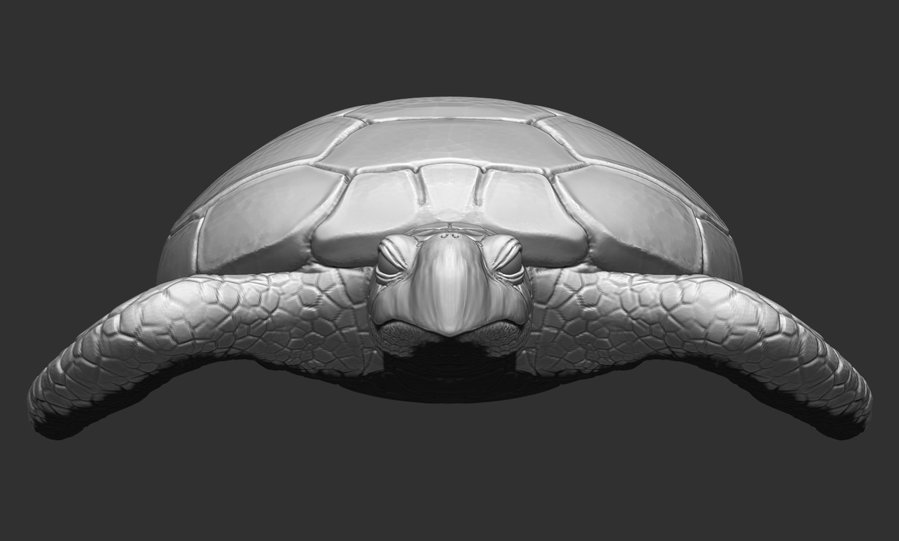 Turtle Sea 3D Model - TurboSquid 1352300