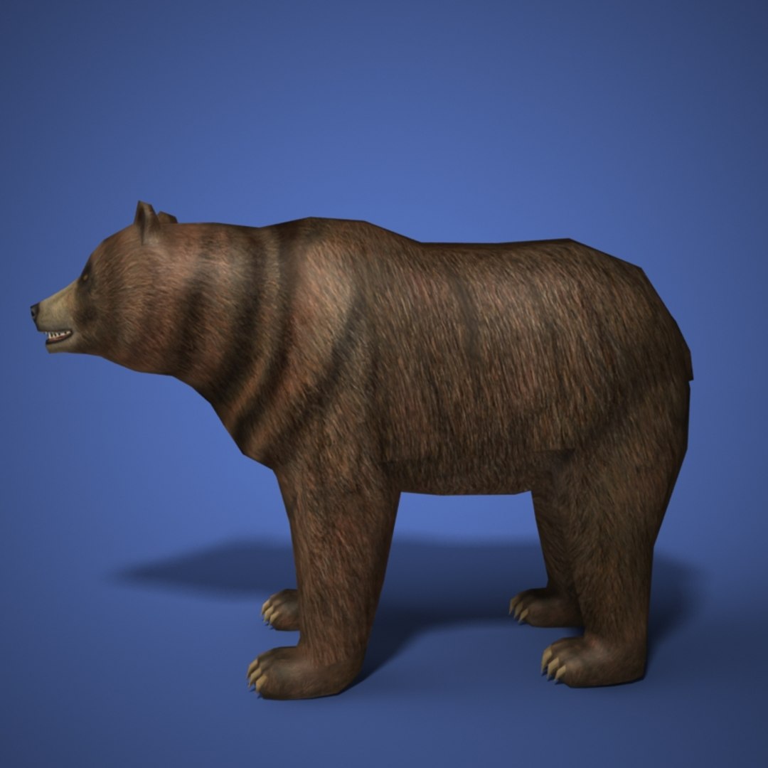 Real Time Bear Modeled 3d Model