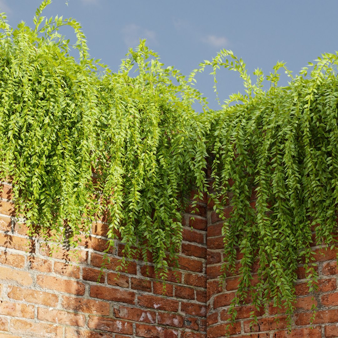 Hanging Creeper Plants Collection Vol 282-Blender-3dmodel Model ...
