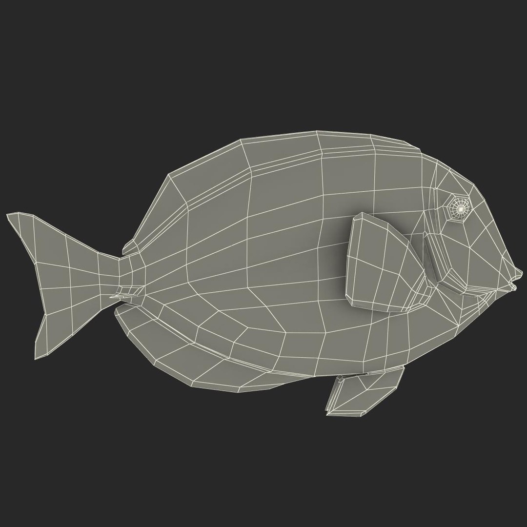 3ds max surgeonfish