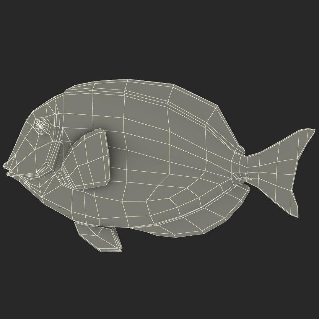 3ds max surgeonfish