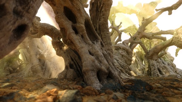 3D olive trees animation realistic model - TurboSquid 1396078