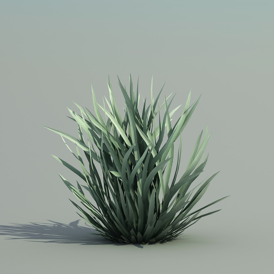 Tree Scatter 3D Model - TurboSquid 1190947