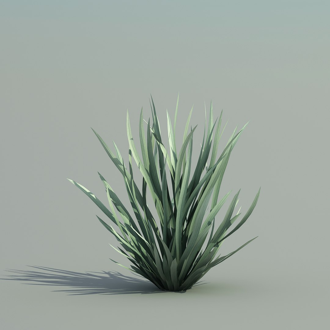 Tree Scatter 3D Model - TurboSquid 1190947