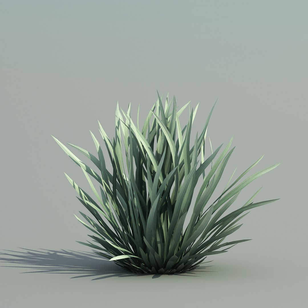 Tree Scatter 3D Model - TurboSquid 1190947