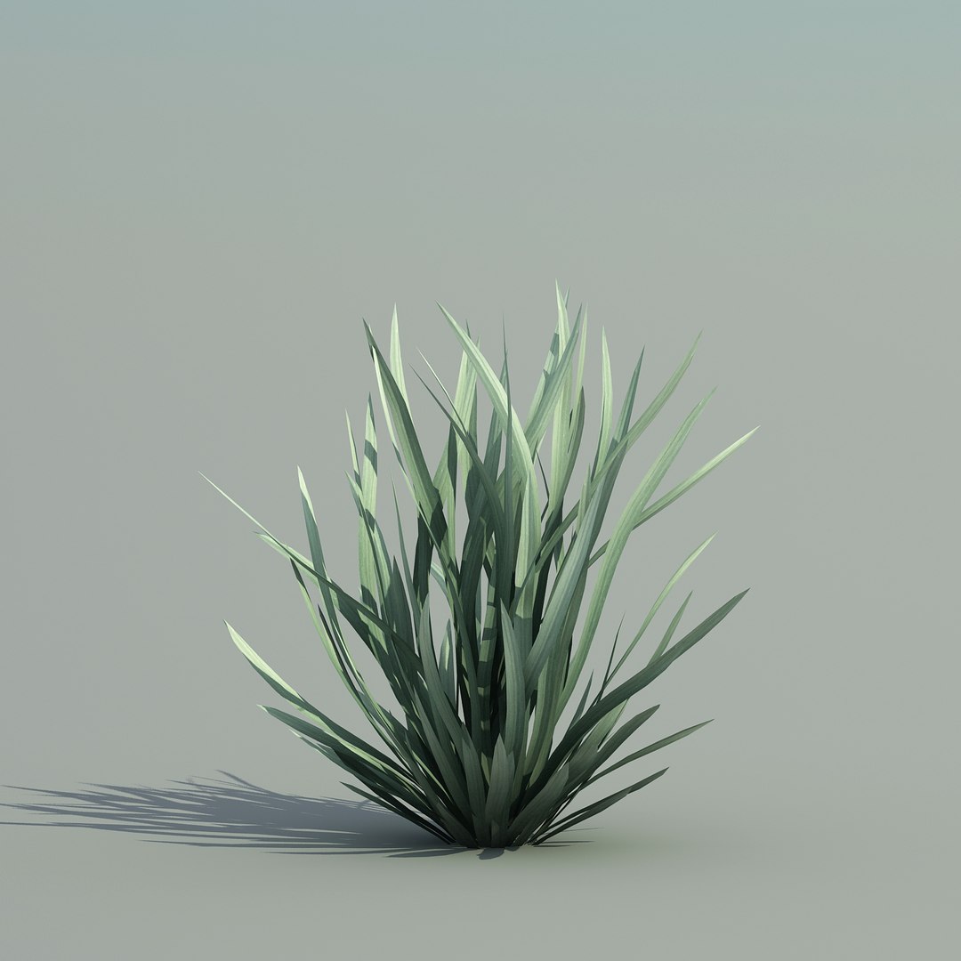 Tree Scatter 3D Model - TurboSquid 1190947