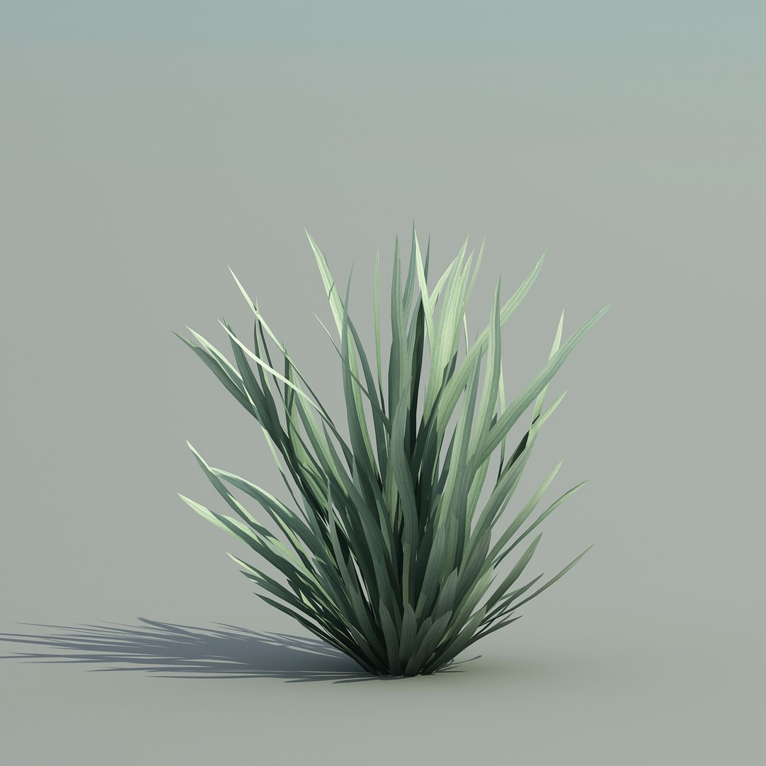 Tree Scatter 3D Model - TurboSquid 1190947