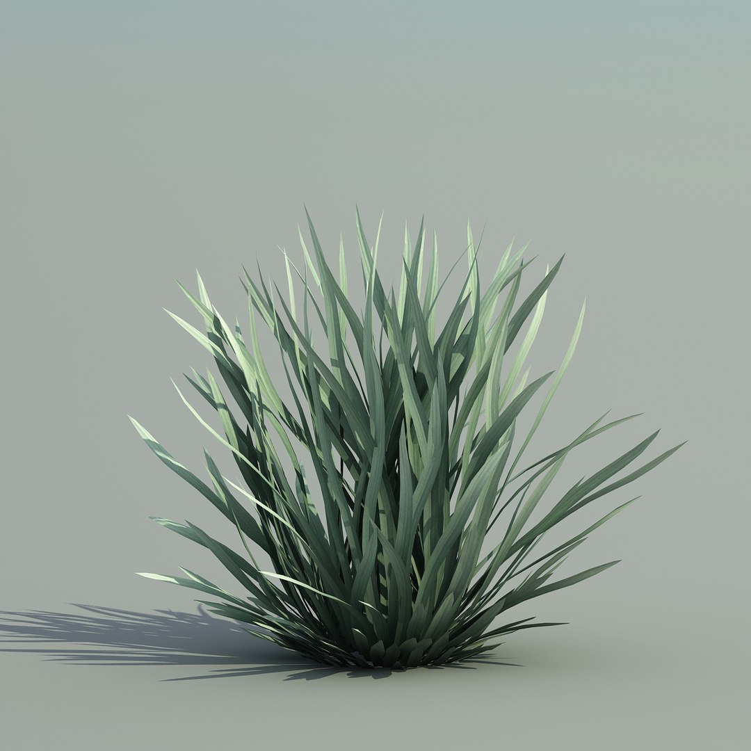 Tree Scatter 3D Model - TurboSquid 1190947