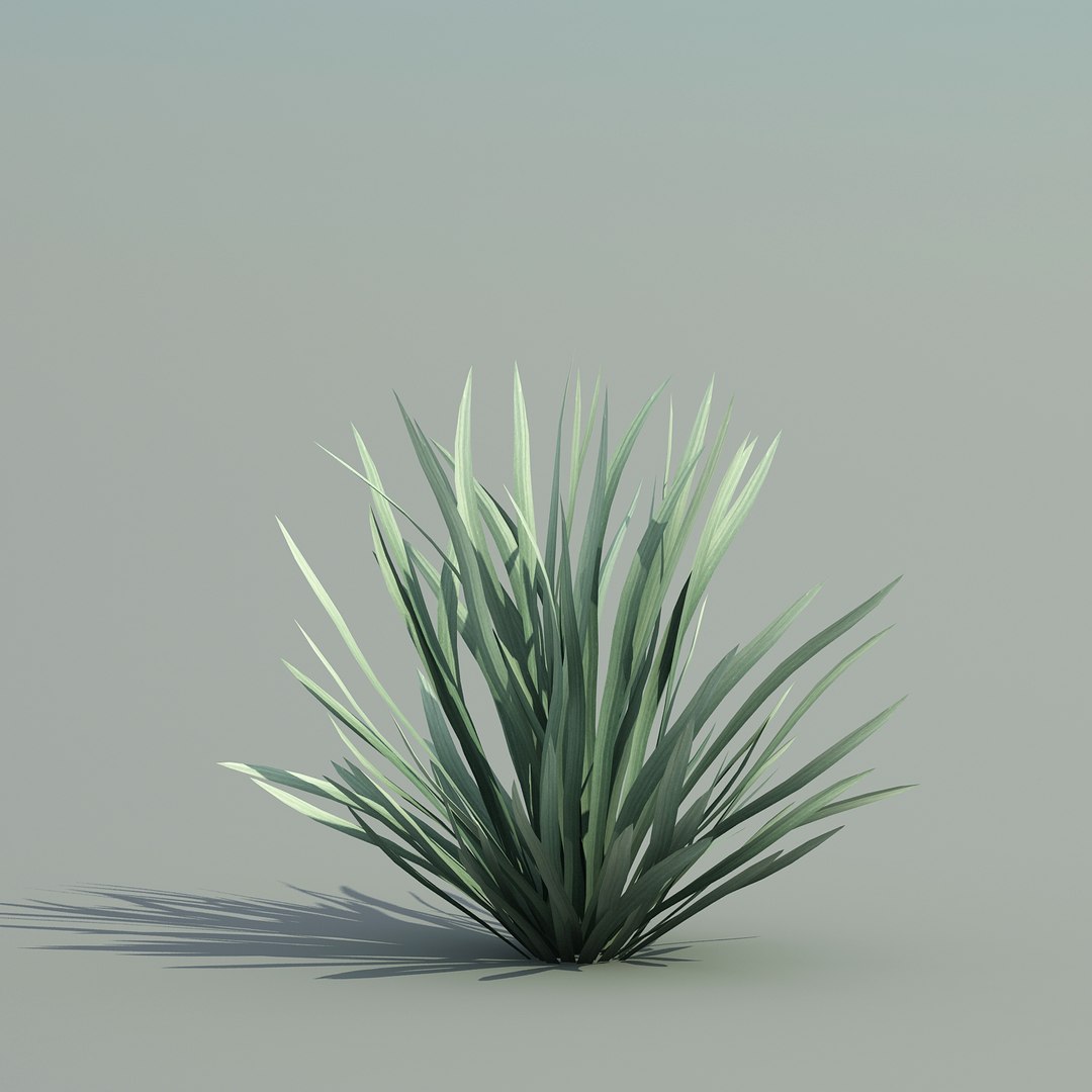 Tree Scatter 3D Model - TurboSquid 1190947