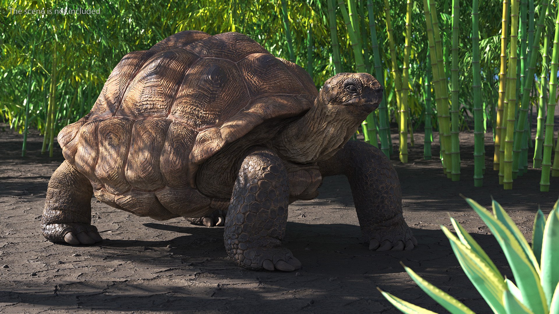 Dirty Old Giant Turtle Stand Pose Model - TurboSquid 2113260