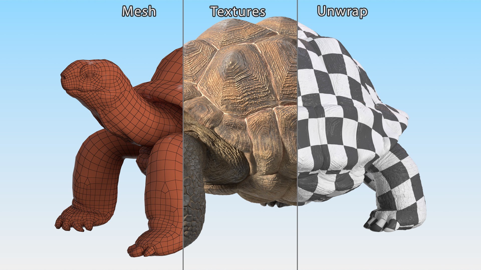 Dirty Old Giant Turtle Stand Pose Model - TurboSquid 2113260