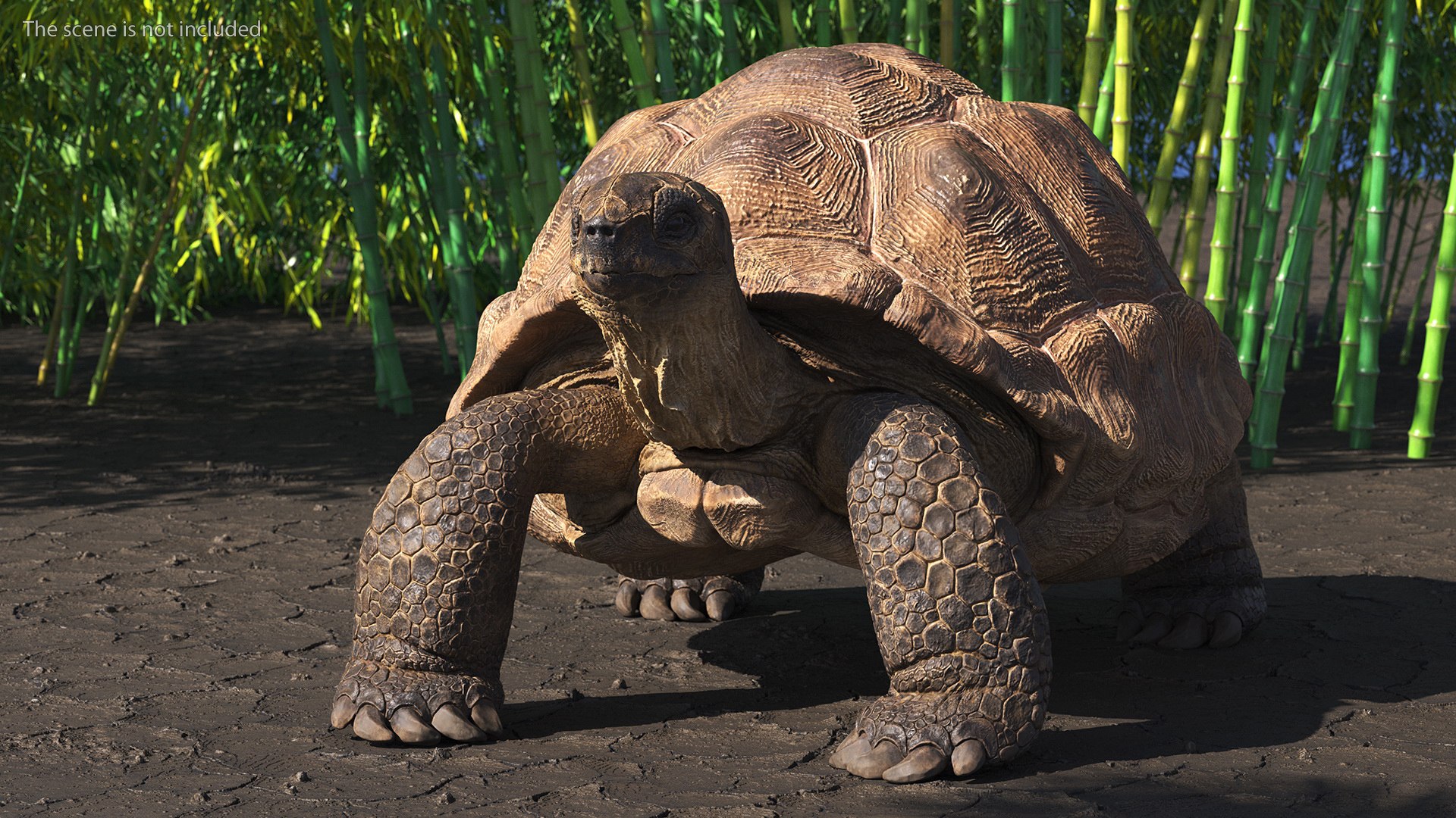 Dirty Old Giant Turtle Stand Pose Model - TurboSquid 2113260