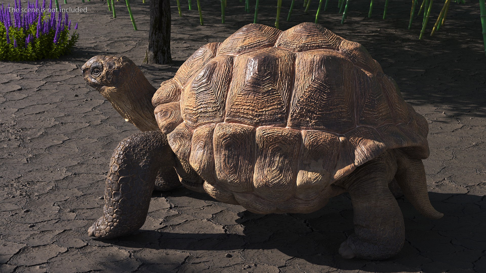 Dirty Old Giant Turtle Stand Pose Model - TurboSquid 2113260