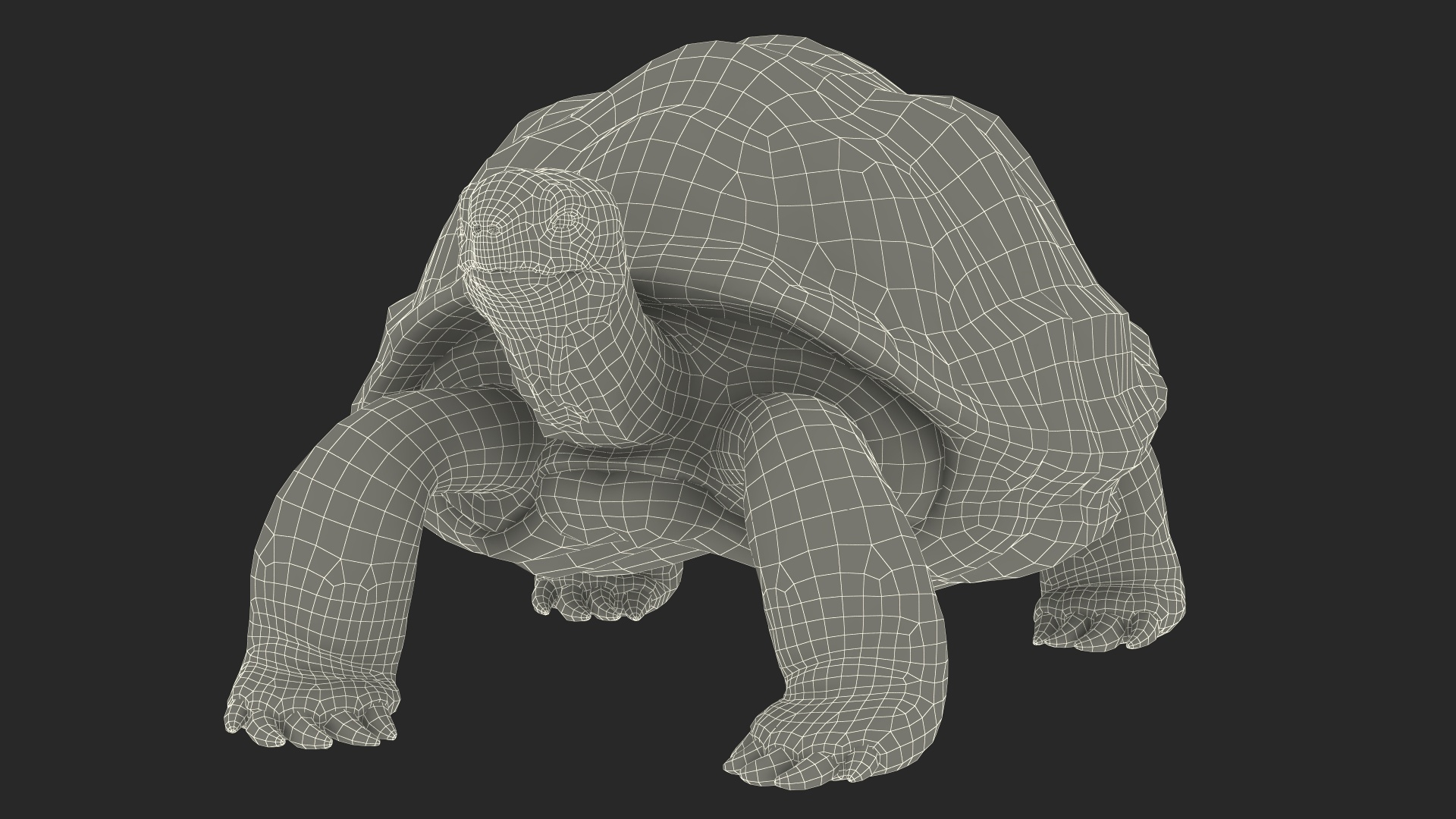 Dirty Old Giant Turtle Stand Pose Model - TurboSquid 2113260