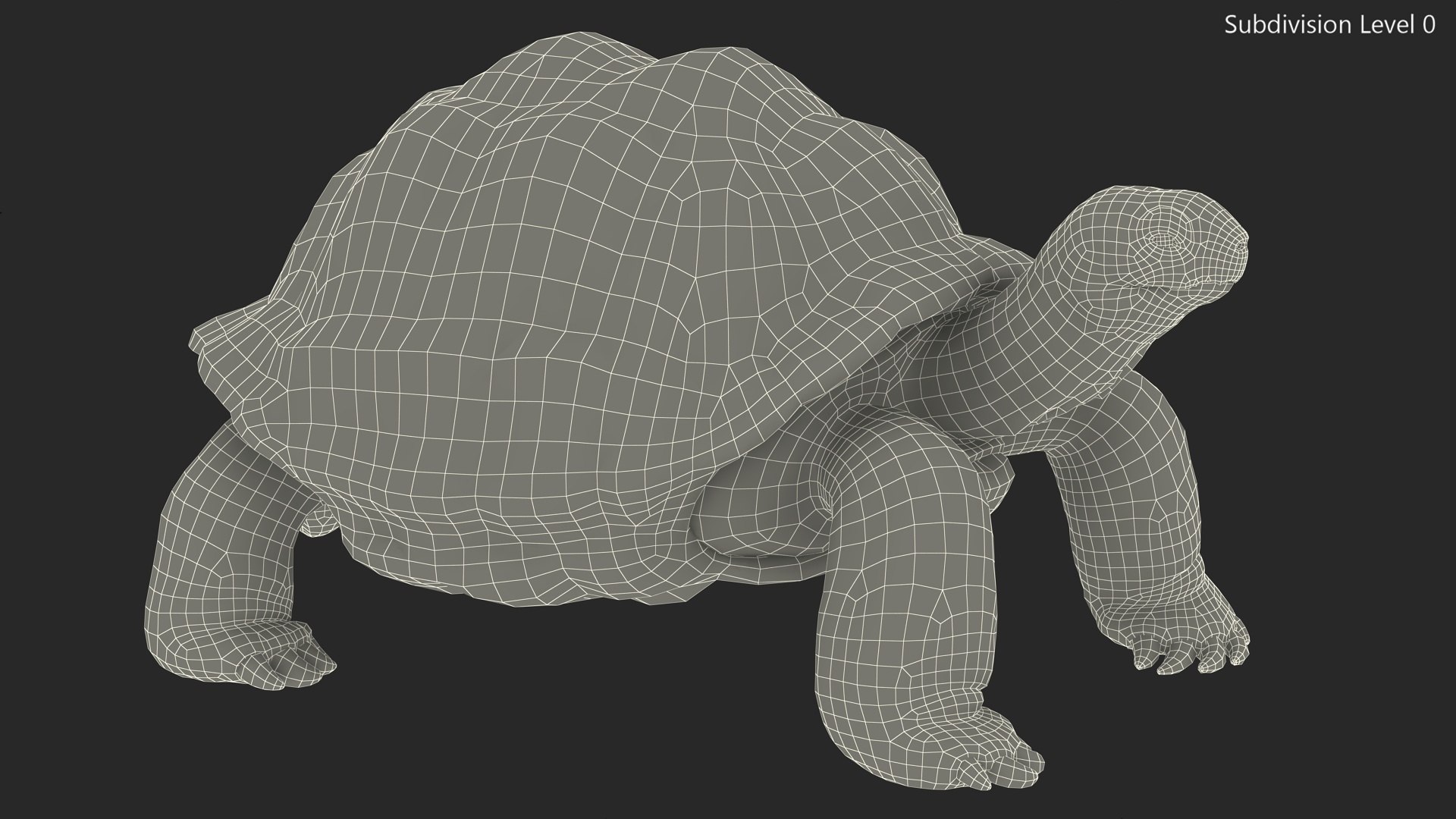 Dirty Old Giant Turtle Stand Pose Model - TurboSquid 2113260