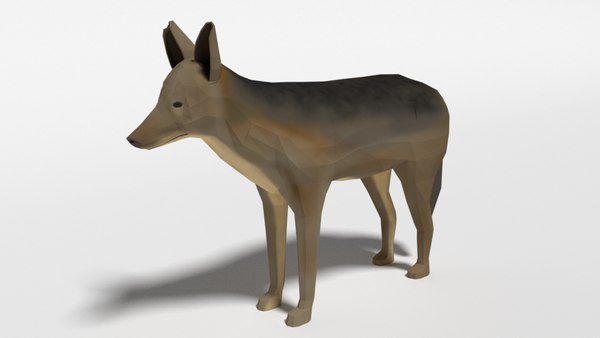 Jackal nature 3D model - TurboSquid 1505318